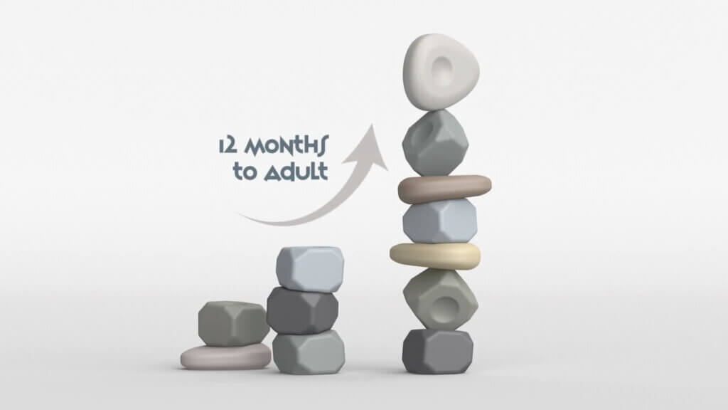 Resources® Stack Master - taksatoys.com